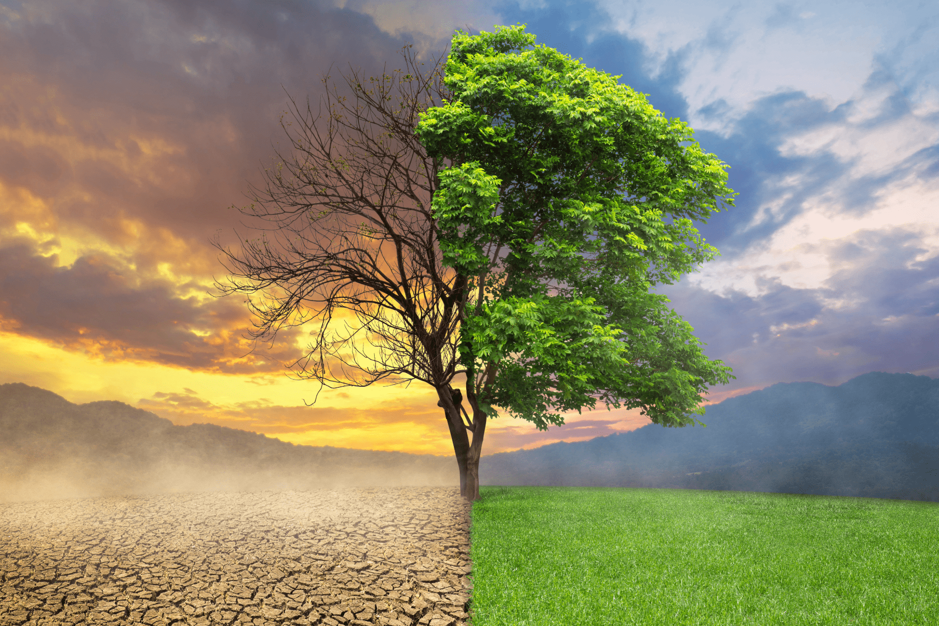 Blog - Enjoying the Journey